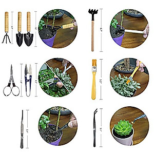 FALIDI Bonsai Set 10 PCS-Mini Gardening Tools Kit for Indoor Outdoor Bonzai Include Pruner, Fold Scissors, Mini Rake, Tweezers, Cleaning Brush