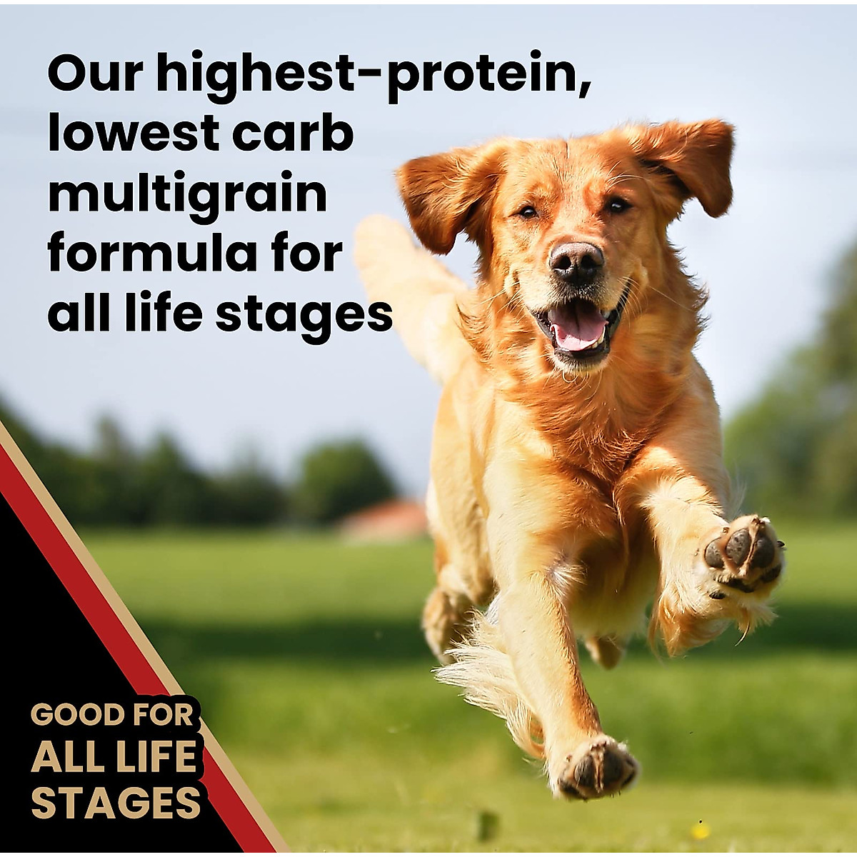 Victor Super Premium Dog Food – Purpose - Nutra Pro – Gluten Free, High Protein Low Carb Dry Dog Food for Active Dogs of All Ages – Ideal for Sporting Dogs, Pregnant or Nursing Dogs & Puppies, 5lbs