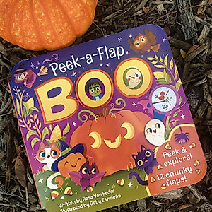 Boo Halloween Lift-a-Flap Board Book Ages 0-4 (Peek-A-Flap)