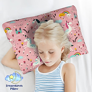 Dreamtown Kids Toddler Pillow & Pillowcase, Hypoallergenic, Made in USA, Soft & Breathable