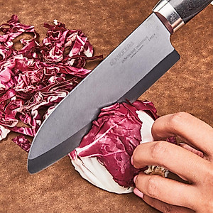 Kyocera Advanced Ceramic LTD Series Santoku Knife with Handcrafted Pakka Wood Handle, 5.5-Inch, Black Blade