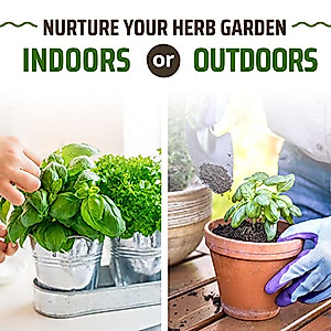 17 Herb Culinary Seed Vault - 5200+ Herbs Seeds for Planting Indoor or Outdoor Garden - Heirloom, Non GMO | Hydroponic Herb Garden Seeds with High Germination | Cilantro, Mint, Chives, Basil, Parsley