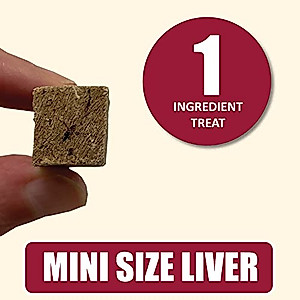 Whole Life Pet Mini Ones - Beef Liver Treats for Small Dogs or Training Treats for Any Size Dog, Human Grade, One Ingredient, Made in The USA