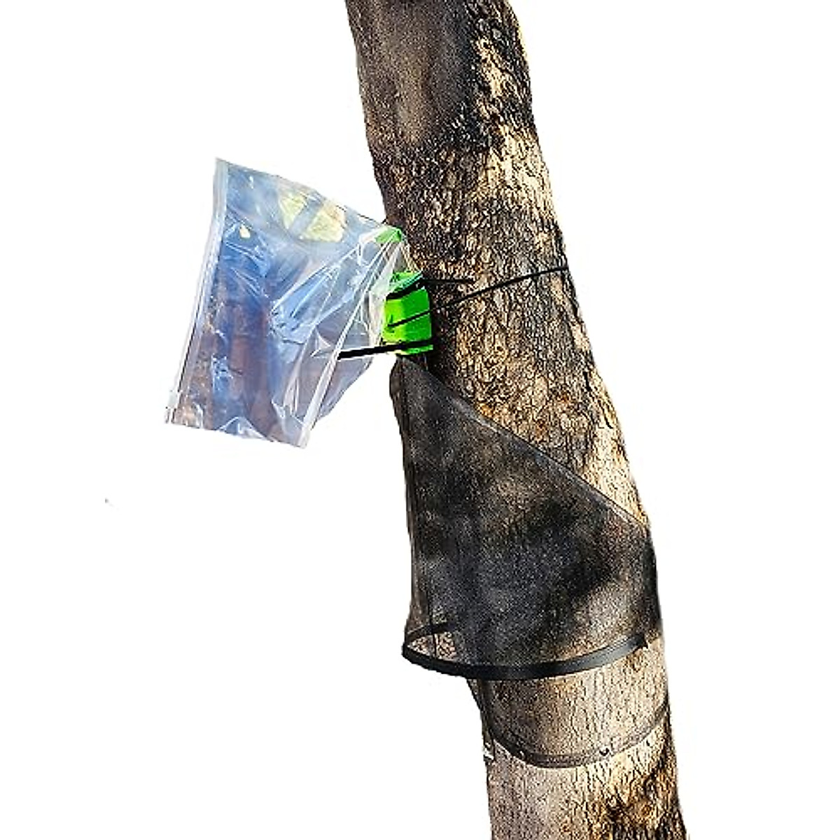 Scorpion-01 | Spotted Lanternfly Trap (Lime Green)