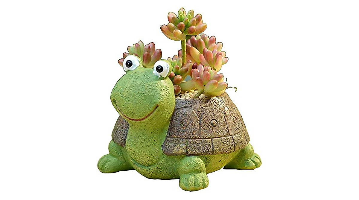 Cute Turtle Plant Pot for Succulents & Bonsai | Youfui