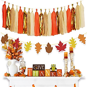 Aonor Tassel Garland, Tissue Paper Tassels Banner for Graduation Party Decorations, Thanksgiving, First Birthday Party Decorations, 20 pcs DIY Kits (Orange+Metallic Gold+Tan+Ivory)