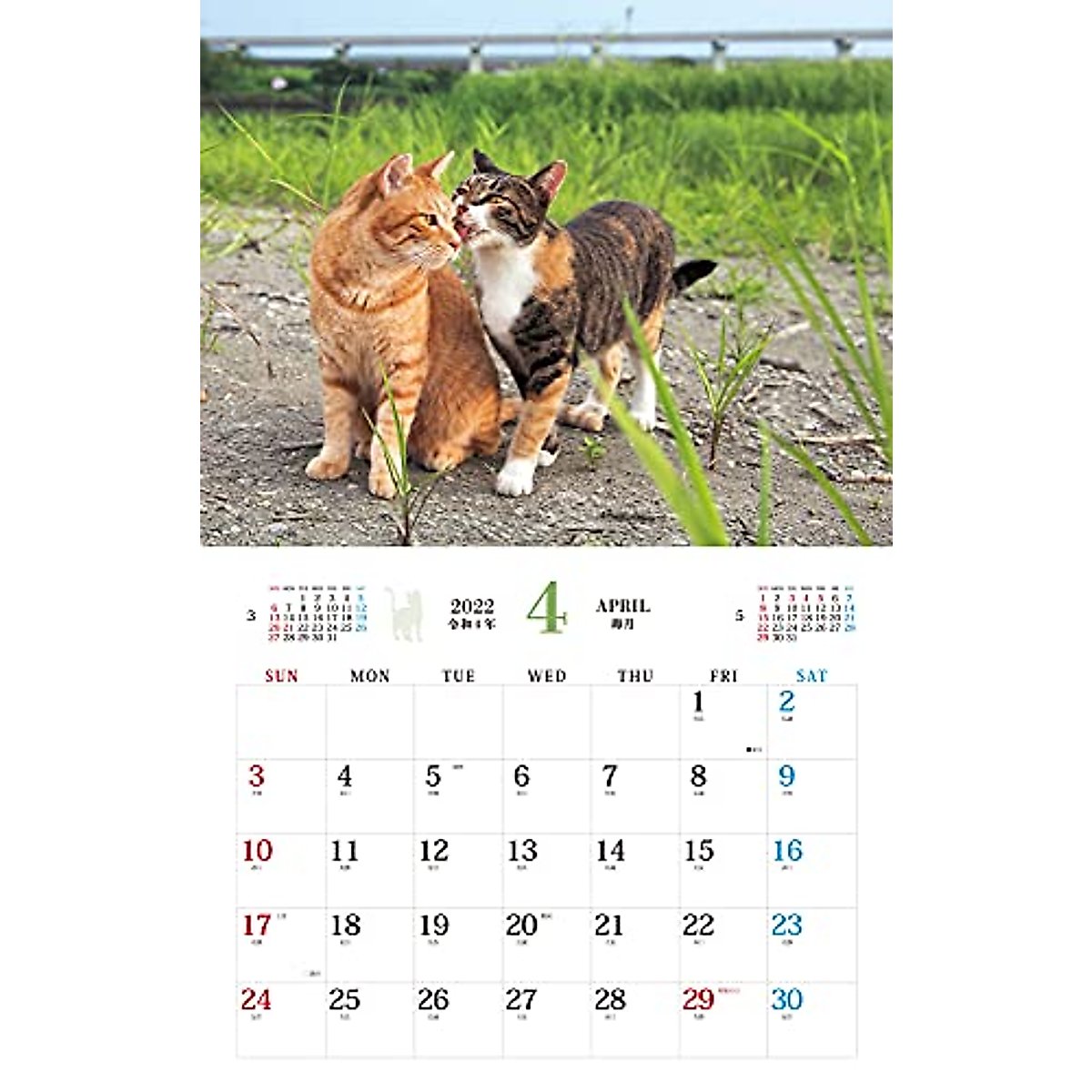 そとねこ (インプレスカレンダー2022)