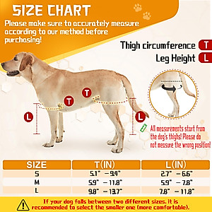 Dog ACL Knee Leg Brace, Dog Hip Brace for Front Torn and Back ACL Hind Rear Legs, Comfortable & Adjustable Tailwind Dog Hip Dysplasia Brace for Dog Arthritis, Luxating Patella with 10X Support (XL)