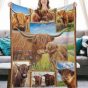 Highland Cow Blanket Farm Cow Decor Animal Throw Blanket Highland Cow Gifts for Women Super Warm Soft Plush Lightweight Fleece Flannel Blanket Winter Couch Sofa Bedding Blanket for Kids Adults 40"x50"