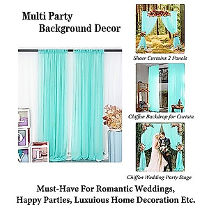 Chiffon Backdrop Curtain 96 Inches Long Sheer Curtains Mint Green Chiffon Fabric Drapes for Parties Voile Curtains 2 Panels 29"x96" Mint Sheer Photography Backdrop Drapes