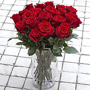 Fresh Cut 24 Red Roses - Fresh from the Farm Red Rose Bouquet – Hand-Selected Long-Lasting, Gift and Home Decor Perfect Fresh Flowers |20" Long Stems No Vase-2 Dozen | Flowers Gift