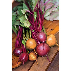Burpee Cook's Custom Mix Beet Seeds 300 seeds