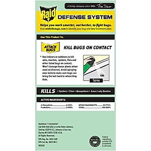 Raid House & Garden Insect Killer Spray, Orange Scent 11 Ounce (Pack of 2)