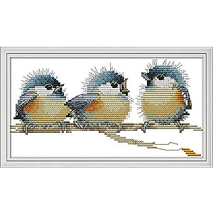 Cross Stitch Kits, Three Birds Awesocrafts Easy Patterns Cross Stitching Embroidery Kit Supplies Christmas Gifts, Stamped or Counted (Birds, Counted)