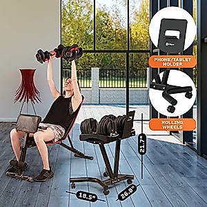 Lifepro Adjustable Dumbbell Stand for PowerFlow Pro & PowerFlow Max Adjustable Dumbbell Set - Adjustable Dumbbell Rack Stand for Convenience & Safety When Training - Durable Adjustable Weights Stand