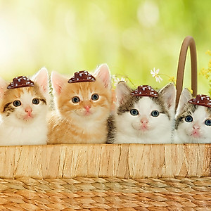 20 Pieces Mini Western Cowboy Hat Cowgirl Hat Doll Hats Plastic Cute Doll Hats Decoration Accessories for Party (Brown Dairy Cow)