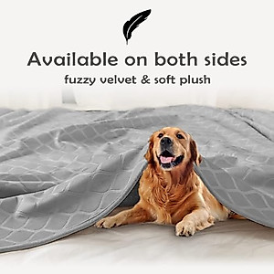 fuguitex Waterproof Dog Blanket Bed Cover Dog Crystal Velvet Moroccan Fuzzy Cozy Plush Pet Blanket Throw Blanket for Couch Sofa(40 * 60 inch, Light Grey+Grey)
