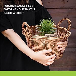 Prosumers Choice Wicker Basket Set of 3 - Wooden Bamboo Like Storage Basket - 3 Sizes Set - Small, Medium & Large Organizer Basket for Household Items - Lightweight Set of Wicker Basket with Handle