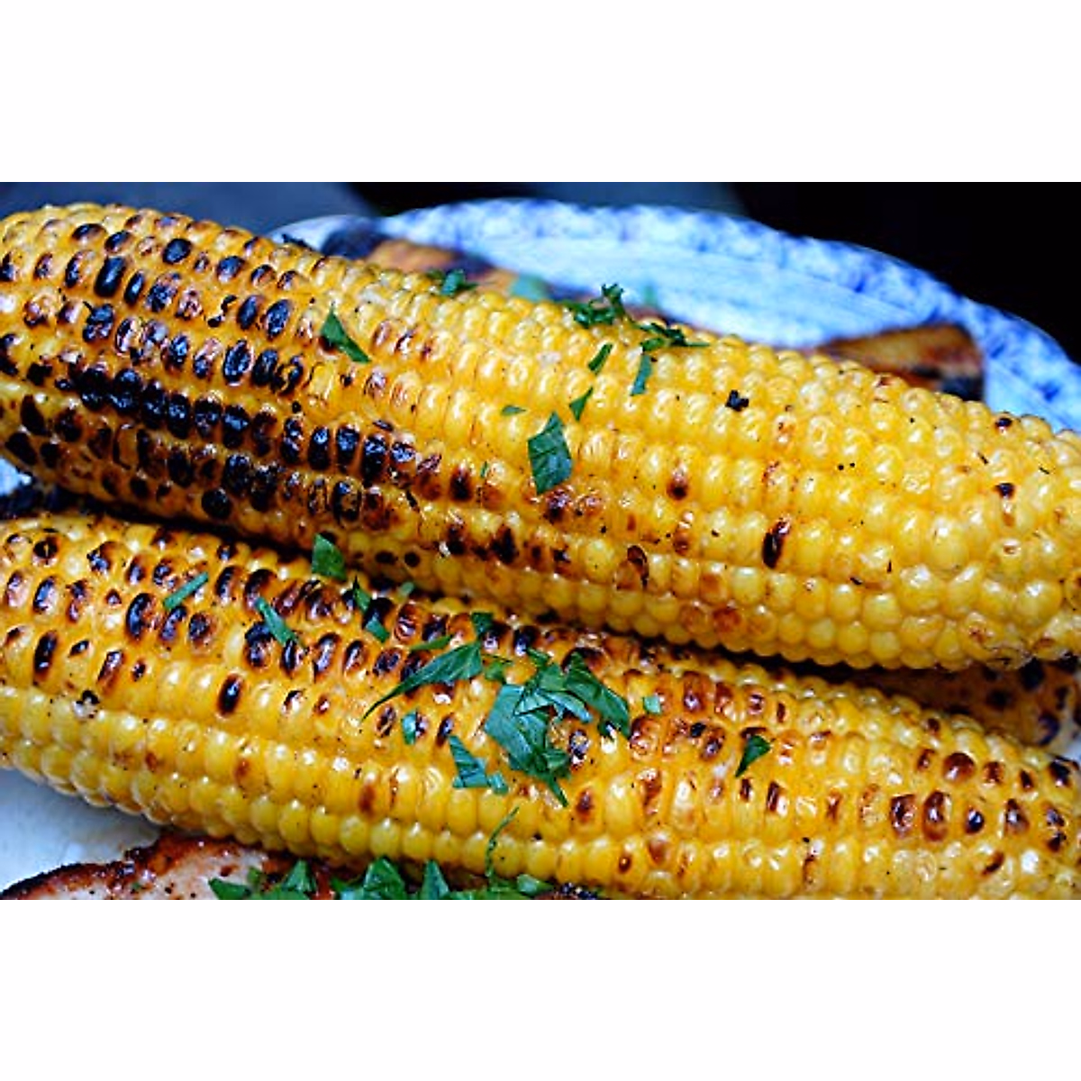 Bodacious RM Sweet Yellow Corn Seeds for Planting, 50+ Seeds Per Packet, (Isla's Garden Seeds), Non GMO Seeds, 90% Germination Rates, Scientific Name: Zea Mays, Great Home Garden Gift