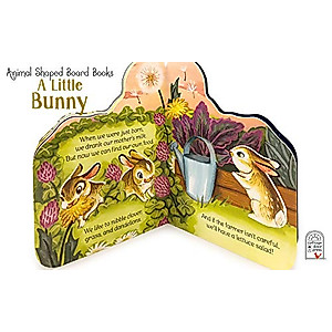 A Little Bunny - Children's Animal Shaped Board Book,