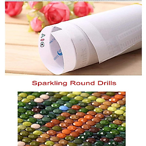 Clendo Christmas Diamond Painting Kits for Adults,Grinch Diamond Art for Adults Beginner,Diamond Dots Gem Art for Aesthetic Home Decor12x16Inch