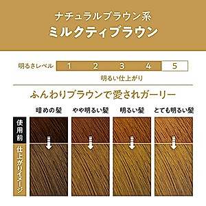 KAO Prettia Bubble Hair Color, Milktea Brown