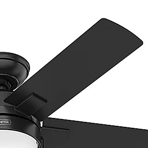 Hunter Fan Company 51455 Zeal Ceiling Fan, 44, Black