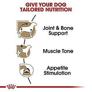 Royal Canin Breed Health Nutrition Dachshund Loaf in Gravy Pouch Dog Food, 3 oz Pouch (Pack of 12), 723085