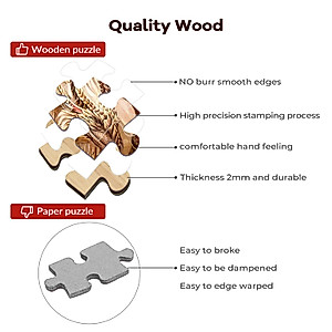 Jigsaw Puzzles 1000 Pieces for Adults - Dragon Puzzle - for Adults Teens Educational Toys Gifts(29.5x19.7 Inches)