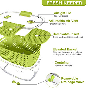 LUXEAR Fresh Produce Vegetable Fruit Storage Containers 3Piece Set, BPA-free Fridge Storage Container, Partitioned Salad Container, Fridge Organizers, Used in Storing Fruits Vegetables Meat Fresh Fish