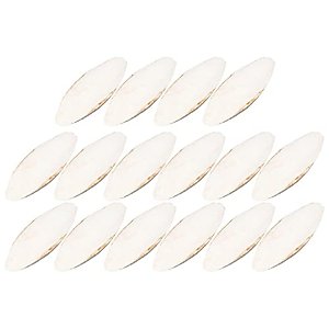 30pcs Parrot Training Toys Cuttlefish Bone Pet Training Chewing Molar Toy turtle calcium