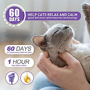 TachengMc 4 Pack Calming Collar for Cats, Cat Collars Efficient Relieve Reduce Anxiety Stress，Make Comfortable Relaxed，Pheromones Collar, Cat Calming Collar Kitten Supplies, Lasting 60 Days, Rainbow