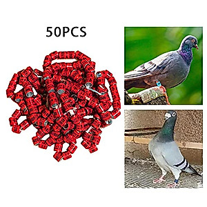 Fenteer 50x 2023 Pigeon Leg Rings Bird Foot Bands for Bantam Finch Canary, Red