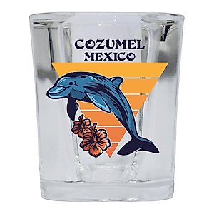 R and R Imports Cozumel Mexico Beach Souvenir 2 oz Square Base Shot Glass Dolphin Design Single