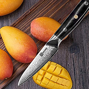 DDAUOSG Paring Knif 3.5 inch Japanese VG10 Super Steel 67 Layer High Carbon Stainless Damascus Steel Peeling Utility knives