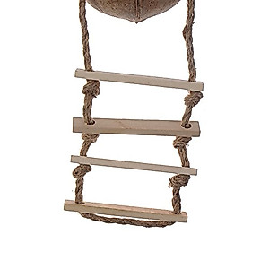 Natural Coconut Hideaway Birds Toys Decorative Bird Nest Cage House with Ladder