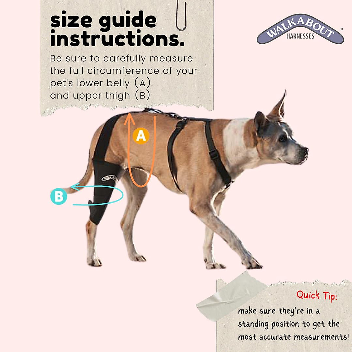 Walkabout Harnesses Black Knee Brace for Dogs Treat ACL, CCL Injury, Arthritis, Joint Pain, Fatigue and Stress with The Walkabout Knee Brace (ML Right)