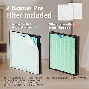 Vital 100S Toxin Absorber Replacement Filter for LEVOIT Vital 100S Smart WiFi Air Puri-fier, True 4-in-1 HEPA and High-Efficiency Activated Carbon Filter, Vital 100S-RF-TX (LRF-V102-GUS), 2Pack, Green