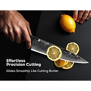 BRODARK Damascus Chef Knife 8 Inch - Ultra Sharp Kitchen Knife, Japanese Knife with Full-Tang Ergonomic Handle, Cooking Knife for Home, Restaurant (Dark Horse Series)