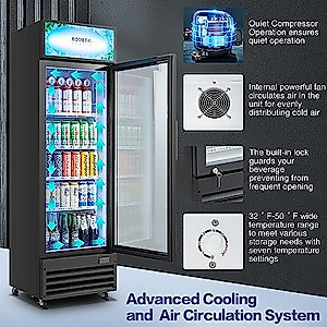 BODEGACOOLER Commercial Merchandiser Refrigerator, Glass Door Display Refrigerator,Upright Beverage Display Cooler with Soft LED Light, Adjustable Shelves and Drink Organizers, 9 Cu. Ft,Black