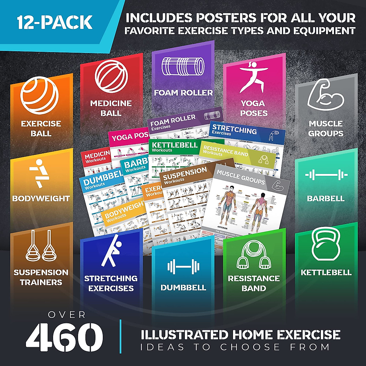 [12-PACK] Laminated Large Workout Poster Set - Perfect Workout Posters for Home Gym - Exercise Charts Incl. Dumbbell, Yoga Poses, Resistance Band, Kettlebell, Stretching & More Fitness Gym Posters