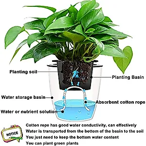 1/6 Inches Self Watering Wick Cord String Cotton Rope for DIY Plant Automatic Watering Device (40 Feet)