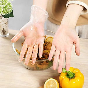 EDI Disposable Vinyl Gloves (Clear) - Powder-Free, Latex-Free (100, Medium)