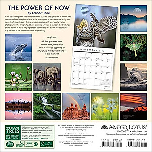 The Power of Now 2021 Wall Calendar: A Year of Inspirational Quotes