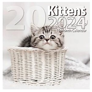 2024 Kittens Full Size Wall Calendar for Planning, Scheduling, and Organizing