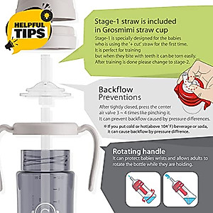 GROSMIMI PPSU Spill Proof Magic Sippy Cup 10 oz (Beige) + Replacements (Straw kit 2-counts, Stage 2)