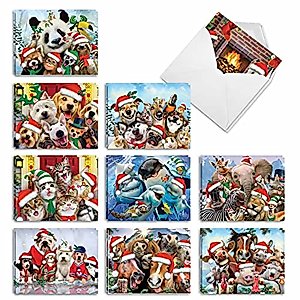 The Best Card Company - Variety Pack of 20 Christmas Greeting Cards with Envelopes, Humor Holiday Assortment for Men and Women (10 Designs, 2 Each) Merry Christmas to Zoo AM6652XSG-B2x10