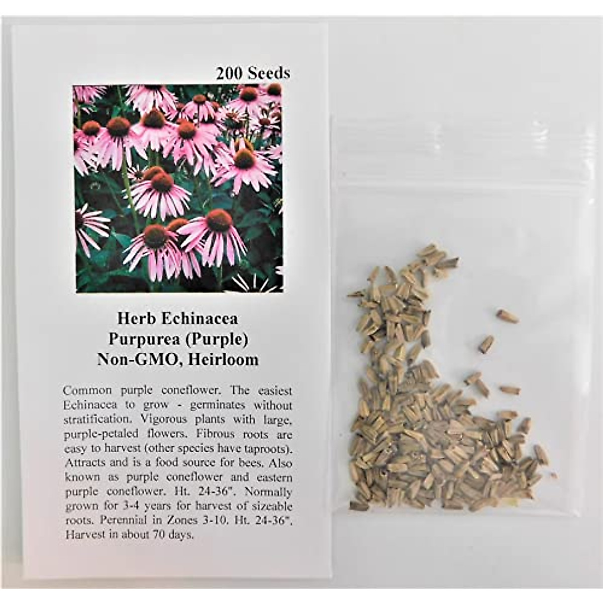 David's Garden Seeds Herb Echinacea Purpurea FBA-00023 (Purple) 200 Non-GMO, Heirloom Seeds