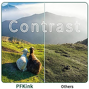 PFKink 245XL Black Ink Cartridge Replacement for Canon PG-245 PG-245XL PG 245 245XL 245 XL PG-243 Used in Canon PIXMA MX492 MX490 MG2920 MG2420 MG2520