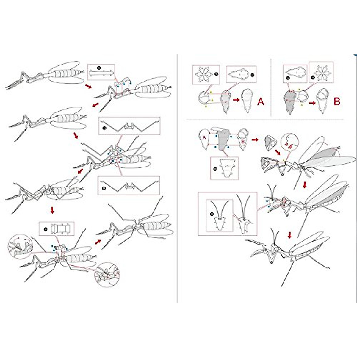 Metal Earth Fascinations Praying Mantis 3D Metal Model Kit